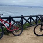 Viña del Mar: Coastal Bike Tour - Who This Tour Is Best For