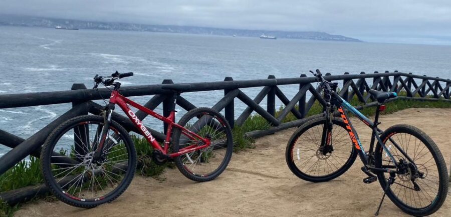 Viña del Mar: Coastal Bike Tour - Who This Tour Is Best For