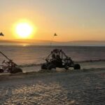 VISIT THE PARACAS NATIONAL RESERVE IN A MINIBUGGY - What Travelers Are Saying