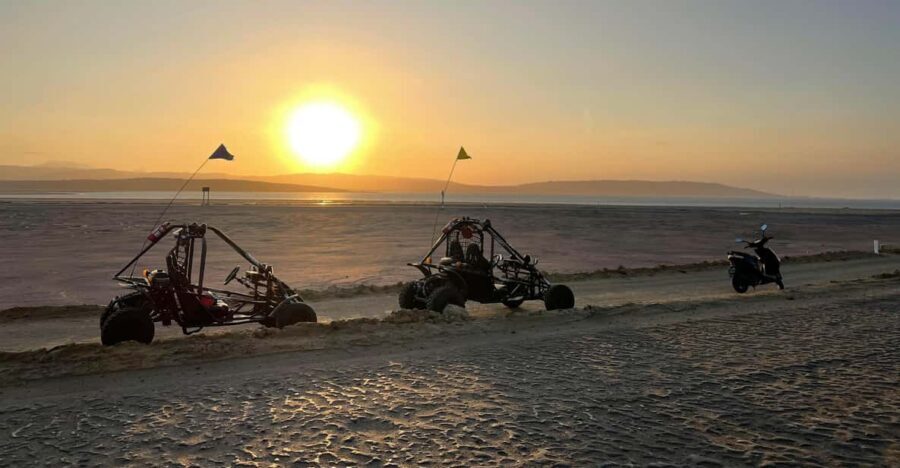 VISIT THE PARACAS NATIONAL RESERVE IN A MINIBUGGY - What Travelers Are Saying