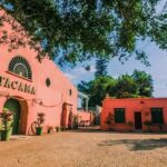 Visit to the Tacama winery + Wine and pisco tasting - Practical Details and Value