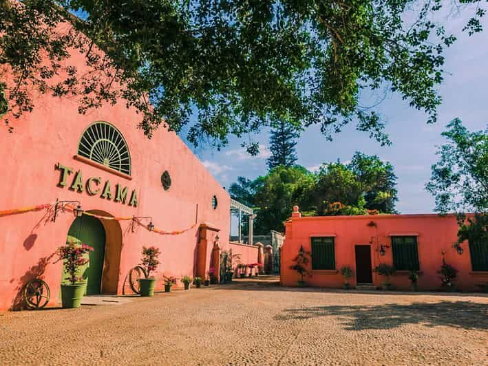 Visit to the Tacama winery + Wine and pisco tasting - Practical Details and Value