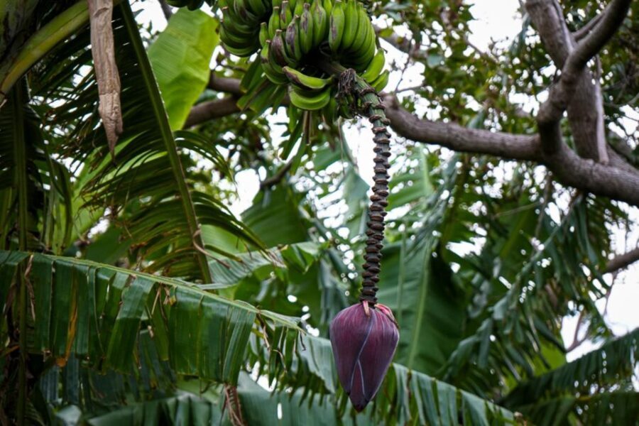 Volcanic Refuges: Excursion to Underground Civilization - The Itinerary Breakdown