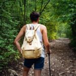 Walk to the Big Rock in Cantareira State Park - An In-Depth Look at the Tour Experience