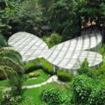 Walking tour José Celestino Mutis Botanical Garden 3 hrs - Exploring the garden: what to expect