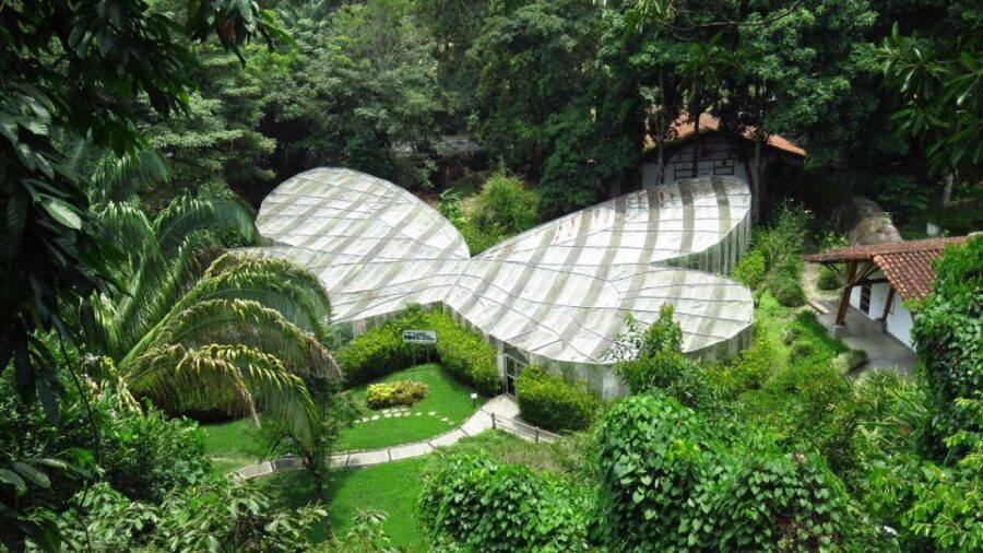 Walking tour José Celestino Mutis Botanical Garden 3 hrs - Exploring the garden: what to expect