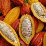 Waterfalls, Animal Reserve and Chocolate: Mango Passage - Visiting the Animal Reserve