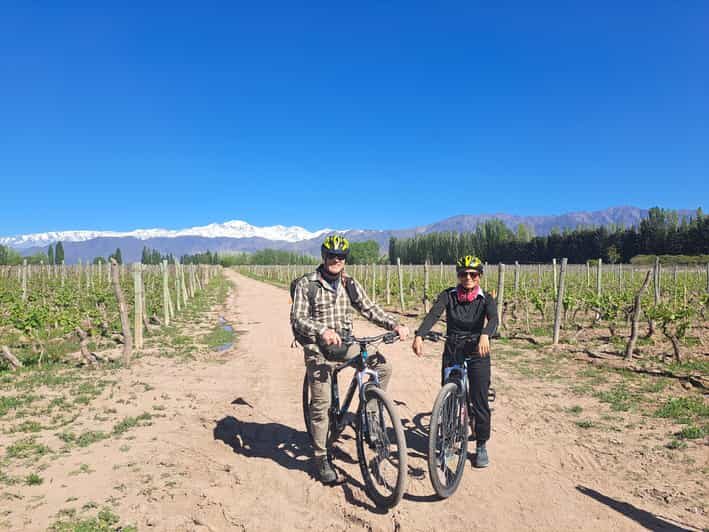 Wine and Chocolate Bike Tour: ride, taste, lunch, vineyards. - What’s Included and How It Adds Value