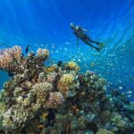 1 Hour Private Snorkeling Activity In Montego Bay - What to Expect During the Tour