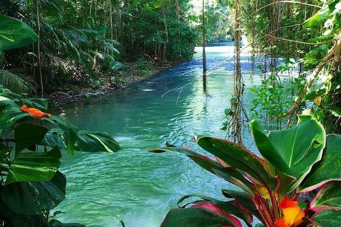 #1 Martha brea bamboo rafting - What We Love About This Tour