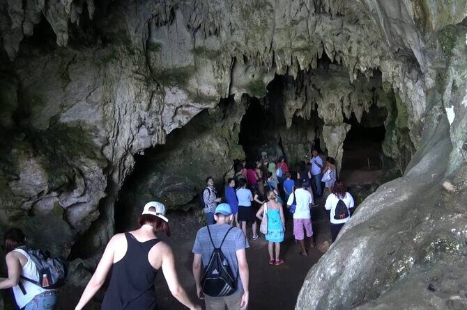 10-Hour Guided Tour of Samana and Bacardi Island Los Haitises - What the Tour Includes & Practicalities