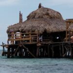 13. Appleton Rum Estate & Black River Safari Private Guided Combo all day tour - Why This Tour Offers Great Value