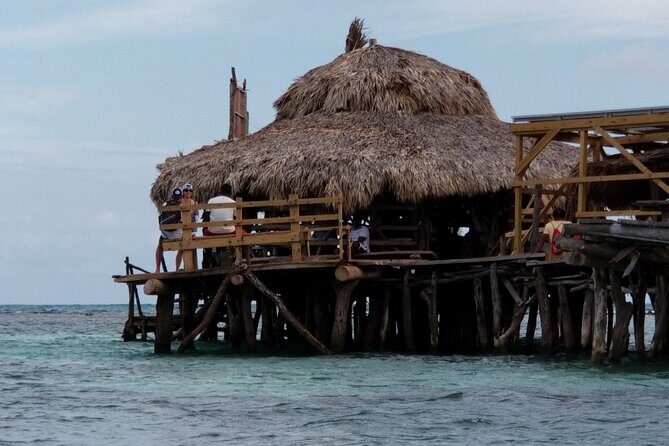 13. Appleton Rum Estate & Black River Safari Private Guided Combo all day tour - Why This Tour Offers Great Value