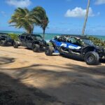 2.5 HR UTV Beach Tour - Authentic Experiences and Authenticity