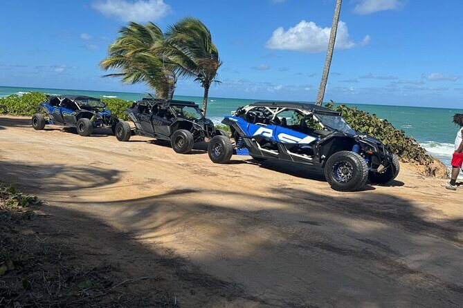 2.5 HR UTV Beach Tour - Authentic Experiences and Authenticity