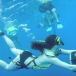 2-Days of Private Jamaican Excursions (All Inclusive) - Who Will Enjoy This Tour?
