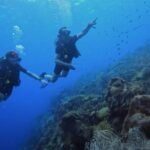 2 guided shore dives in Curacao - Frequently Asked Questions