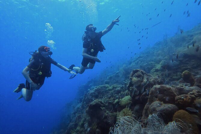 2 guided shore dives in Curacao - Frequently Asked Questions