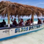2-Hour Glass Bottom Boat Experience in Punta Cana - Analyzing the Experience