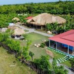 2-Hour Horseback Riding Tour at Sunset from Punta Cana - Who Will Love This Tour?