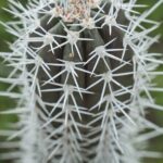 2 Hour Individual Island South Tour on Bonaire for 1 - 12 persons - The Practical Side: Comfort, Customization, and Cost