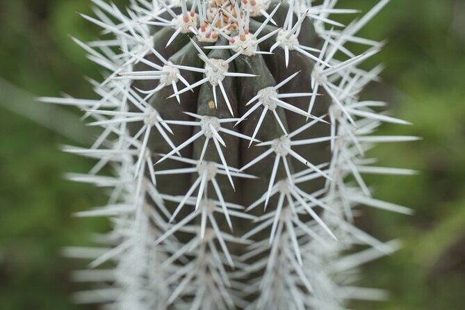2 Hour Individual Island South Tour on Bonaire for 1 - 12 persons - The Practical Side: Comfort, Customization, and Cost