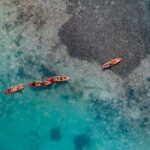 2 Hour Mangrove Kayak and Snorkel Tour - The Sum Up