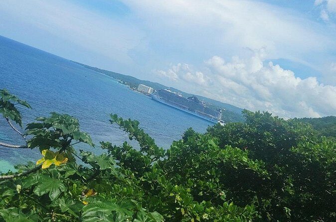 2-Hour Mystic Mountain Private Activities in Ocho Rios Jamaica - What to Expect