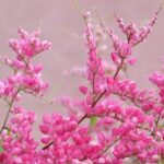 2 Hour Private Guided North Island Tour for singles or doubles - The Value of a Private Tour