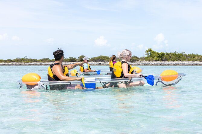 2 Hours Clear Kayaking Activity on Mangrove Cay - Final Thoughts
