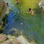 2 Hours Trekking Waterfall Tour in Tobago - What to Expect from the Itinerary