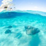 2-stop Adventure: Stingray City and snorkeling at Cayman Reefs - Final Thoughts