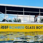 2 Stop Reef Snorkel and Glass Bottom Boat Adventure - The Itinerary: What to Expect