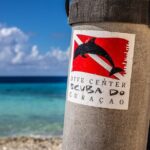 2 Tank Guided Dive half-day - Final Thoughts