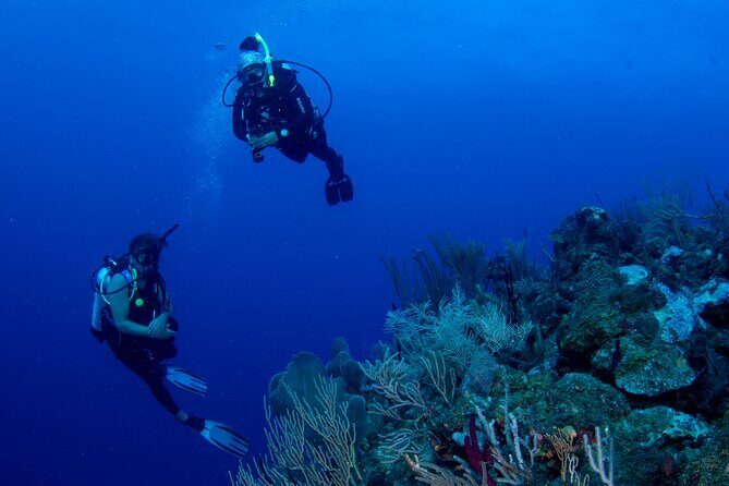 2-Tank Scuba Boat Trip in World-Class Sites @ Copamarina - Who Should Consider This Tour?