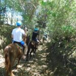 27 Waterfalls: Zip 'n Splash Adventure with Horse Ride - Zip Lining: Flying Over the Treetops