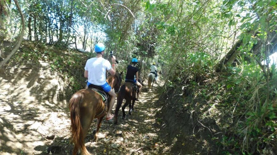 27 Waterfalls: Zip 'n Splash Adventure with Horse Ride - Zip Lining: Flying Over the Treetops