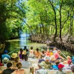 2in1: Los Haitises National Park + Yanigua Waterfall-SPA - Key Points: