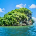 2in1: Los Haitises National Park + Yanigua Waterfall-SPA - The Full Experience: A Detailed Breakdown