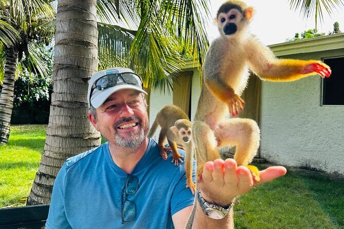 2X1: MonkeyLand plus horseback riding beach in Puerto Plata - Authenticity and Value