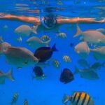 2X1: Snorkeling Tour tour plus MonkeyLand Puerto Plata - Who Should Consider This Tour?