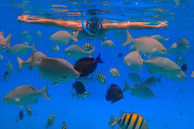 2X1: Snorkeling Tour tour plus MonkeyLand Puerto Plata - Who Should Consider This Tour?