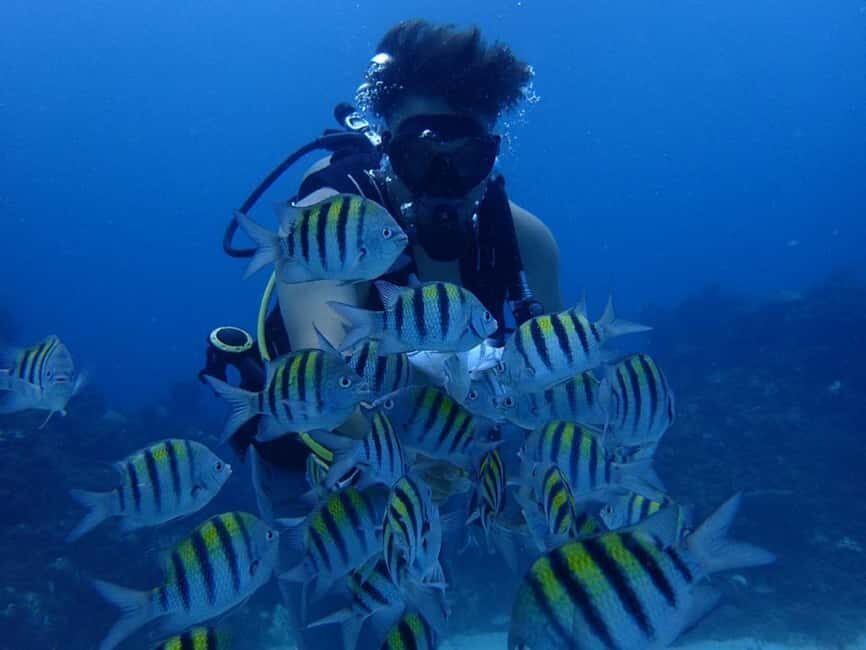 3-Day Scuba Diving Certification Course in Ocho Rios - Practical Details and Tips