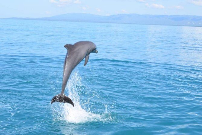 3-days Jamaica Sightseeing Tour of Treasure Beach and Negril departing from Kingston - What’s Included and What’s Not