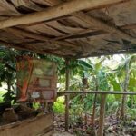 3-Hour Panoramic Tour of Punta Cana with Artisan Market - Transportation and Group Size