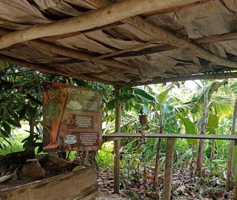 3-Hour Panoramic Tour of Punta Cana with Artisan Market - Transportation and Group Size