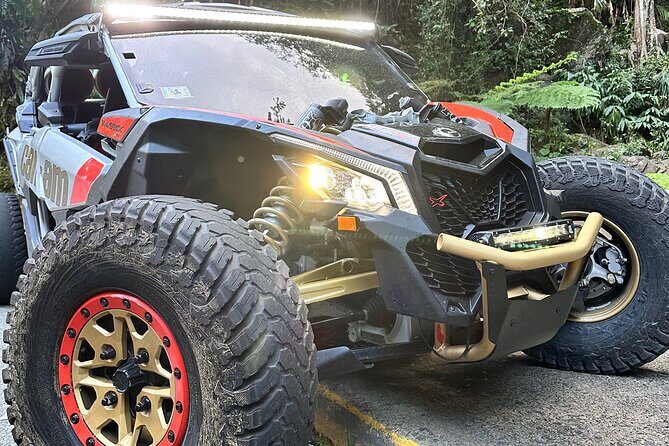 3-Hour Private UTV Tour in San Juan - Practical Tips for Booking and Participating