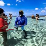 3-Hours Eye-Opening Stingray City Antigua - Transfer R/T included - Why we love this tour