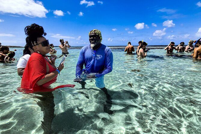 3-Hours Eye-Opening Stingray City Antigua - Transfer R/T included - Why we love this tour