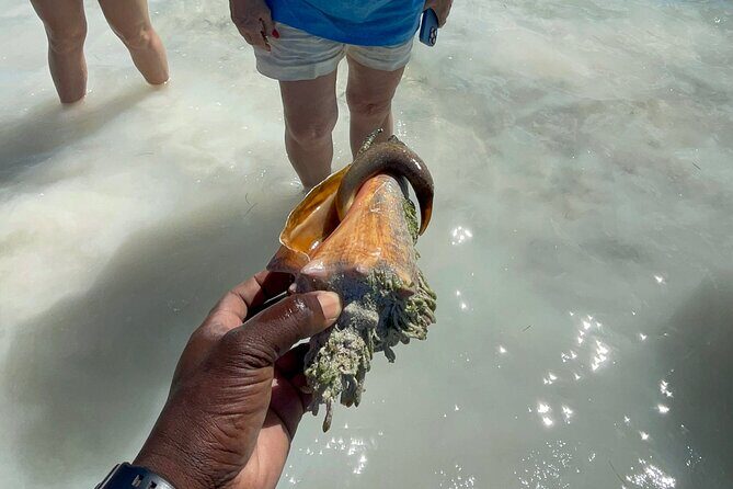 3 Hours Guided Great Exuma ATV Tour - Authentic Experiences Highlighted by Travelers